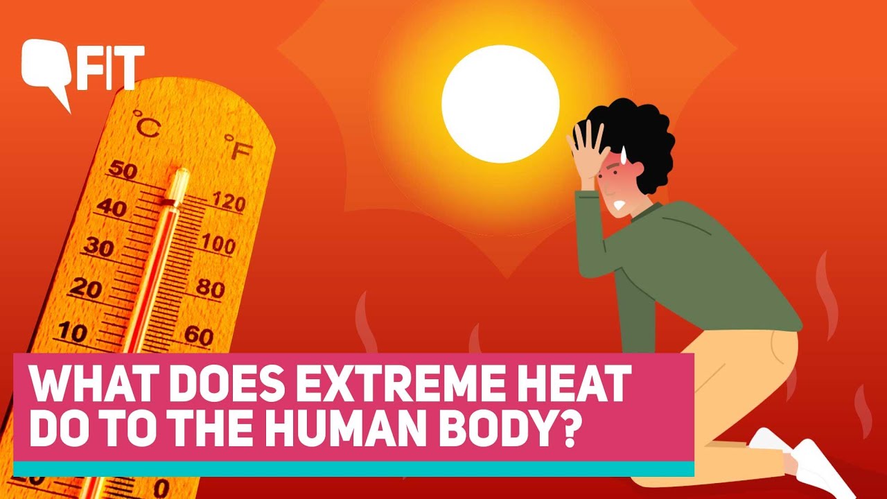 Heatwaves | What Happens To The Human Body Under Extreme Heat | The ...