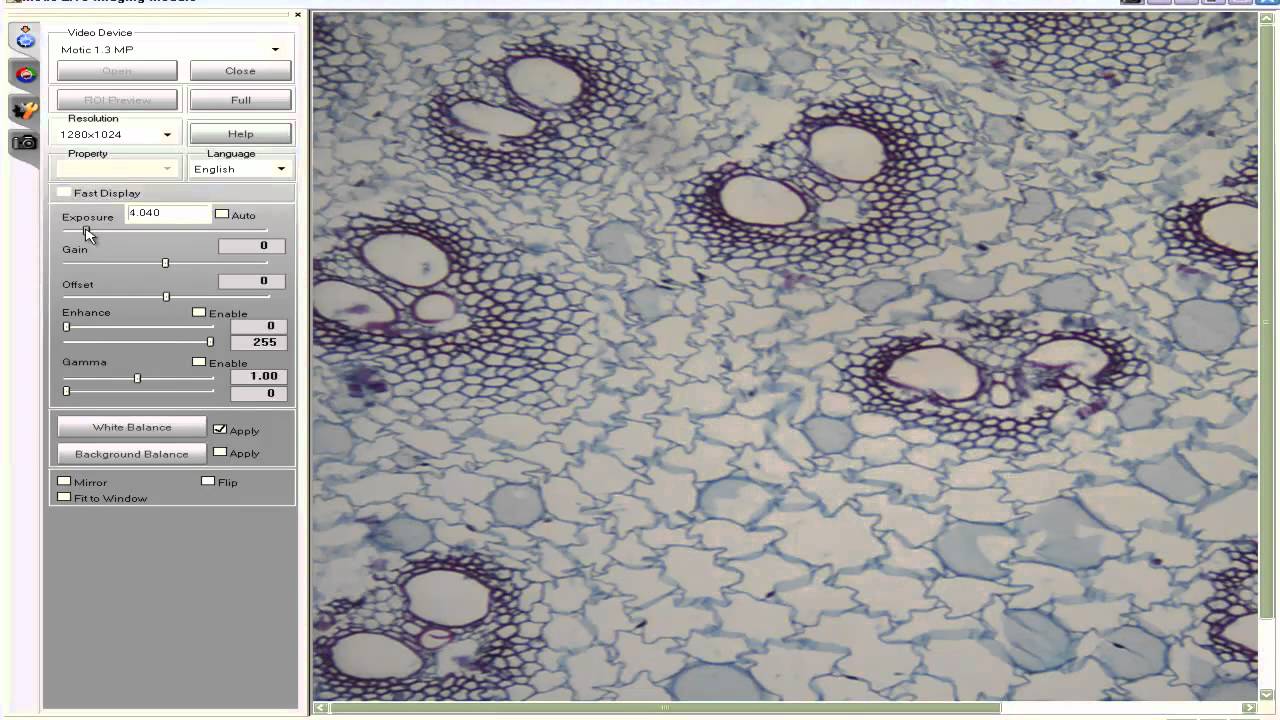 Adjusting the image quality using Motic Images Live Module - YouTube