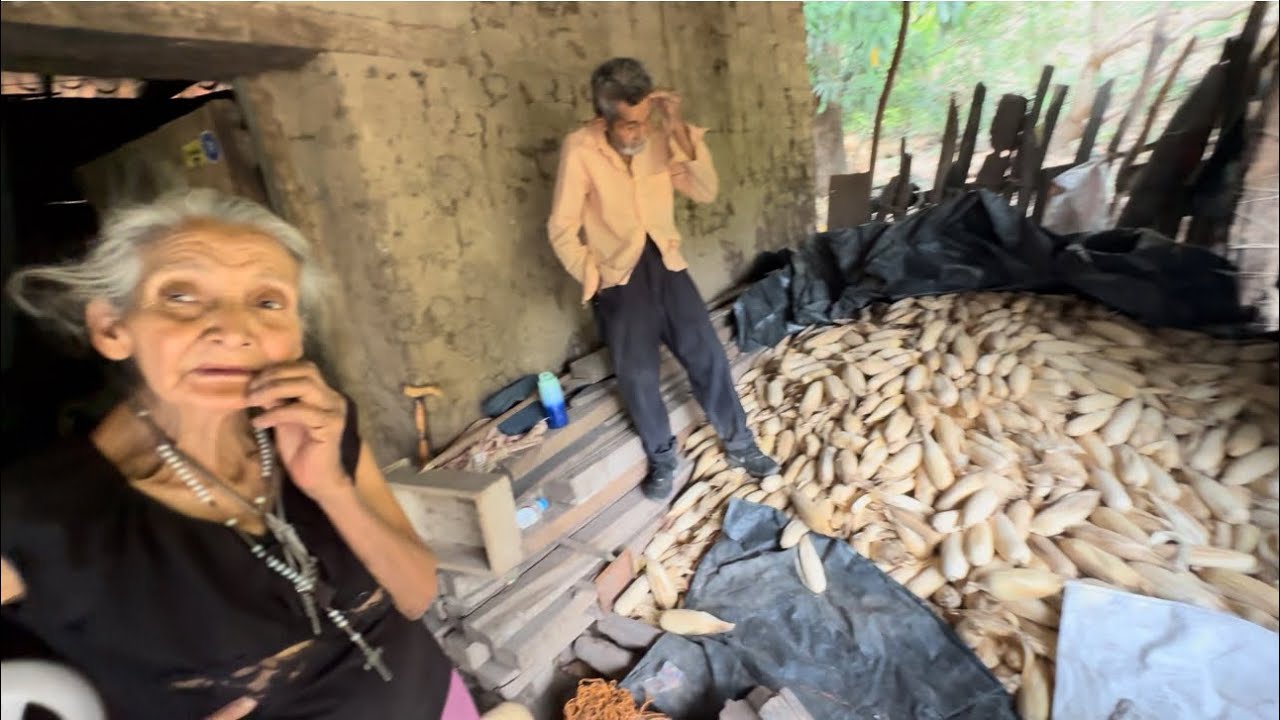 Esta es la cosecha de don Akileo y doña Rosita - YouTube