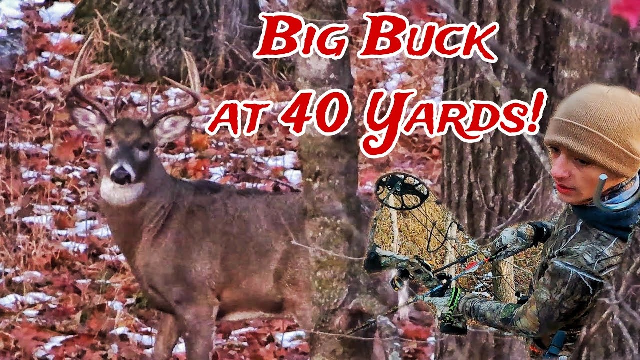 WALKER PASSED A BUCK! - YouTube