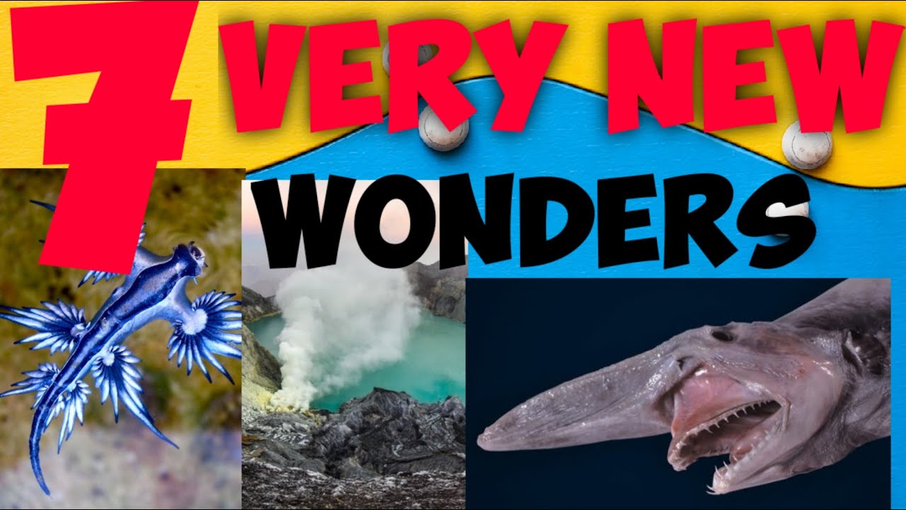 New 7 wonders in world/world 7 athisayam/strange thing around world/7 ...