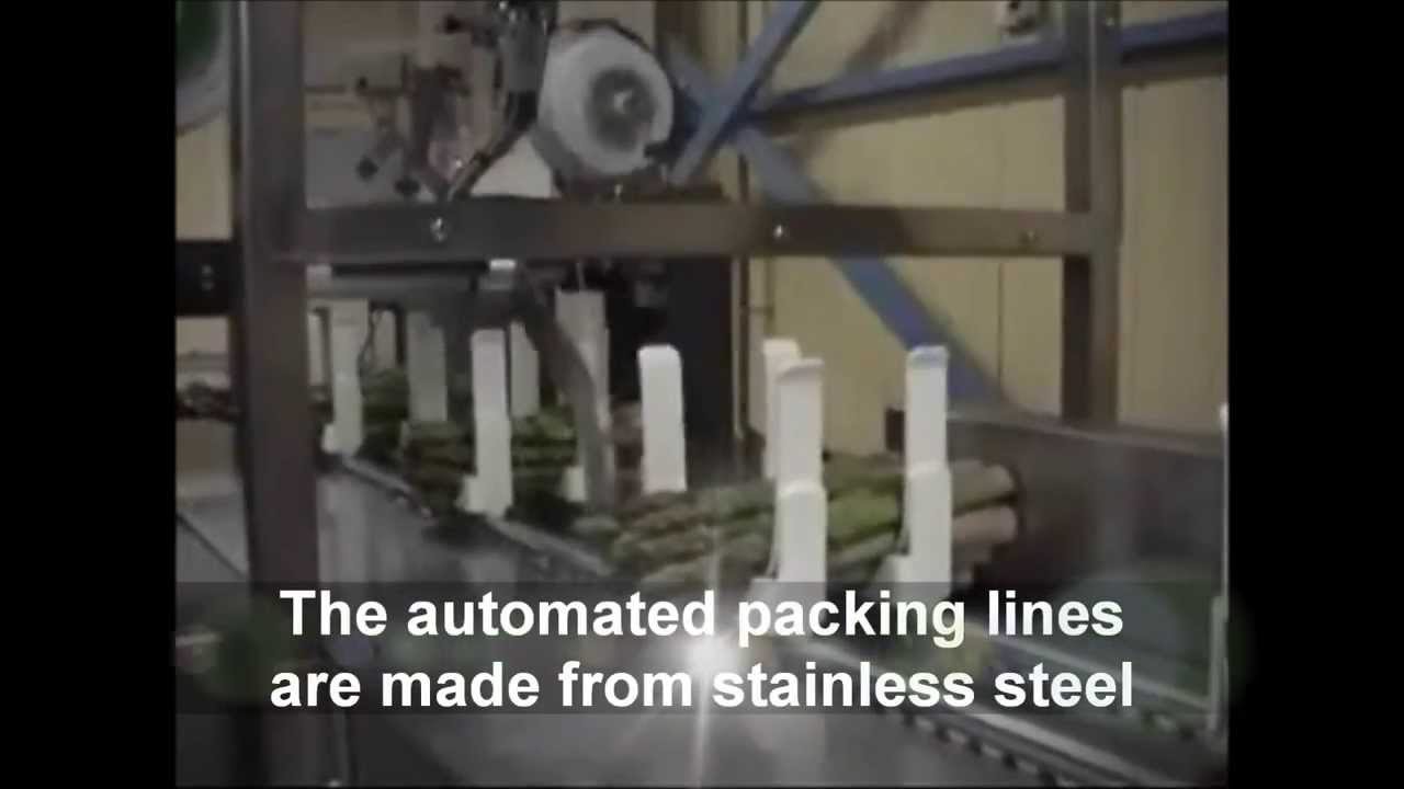 ARC Tying Machine INOX (English Version) - YouTube