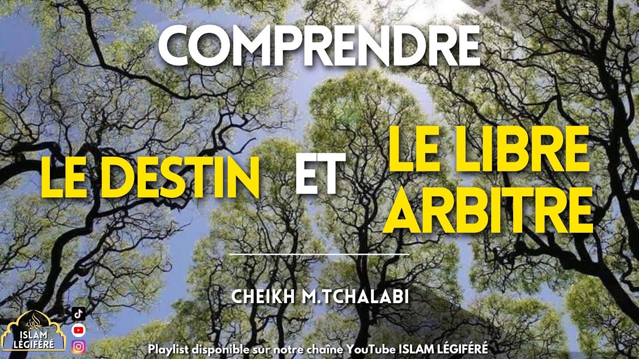 Comprendre le destin et le libre arbitre - Cheikh M.Tchalabi - YouTube