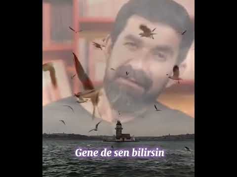 Sana gitme demicem #serdartuncer #shorts #söz #hüzün #ayrılık #sevgi #aşkacısı #sensizlik