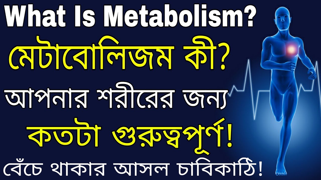 What Is Metabolism? | Types Of Metabolic Processes | Basal Metabolic ...