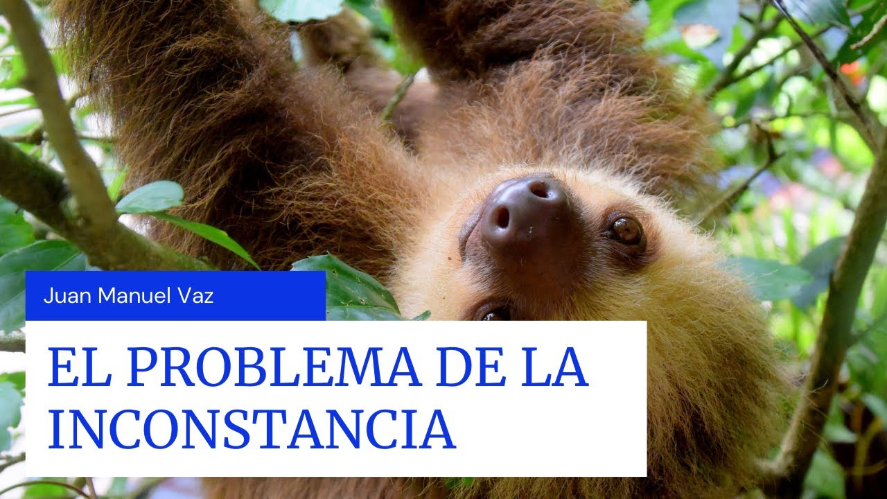 El Problema de la Inconstancia - Juan Manuel Vaz - YouTube