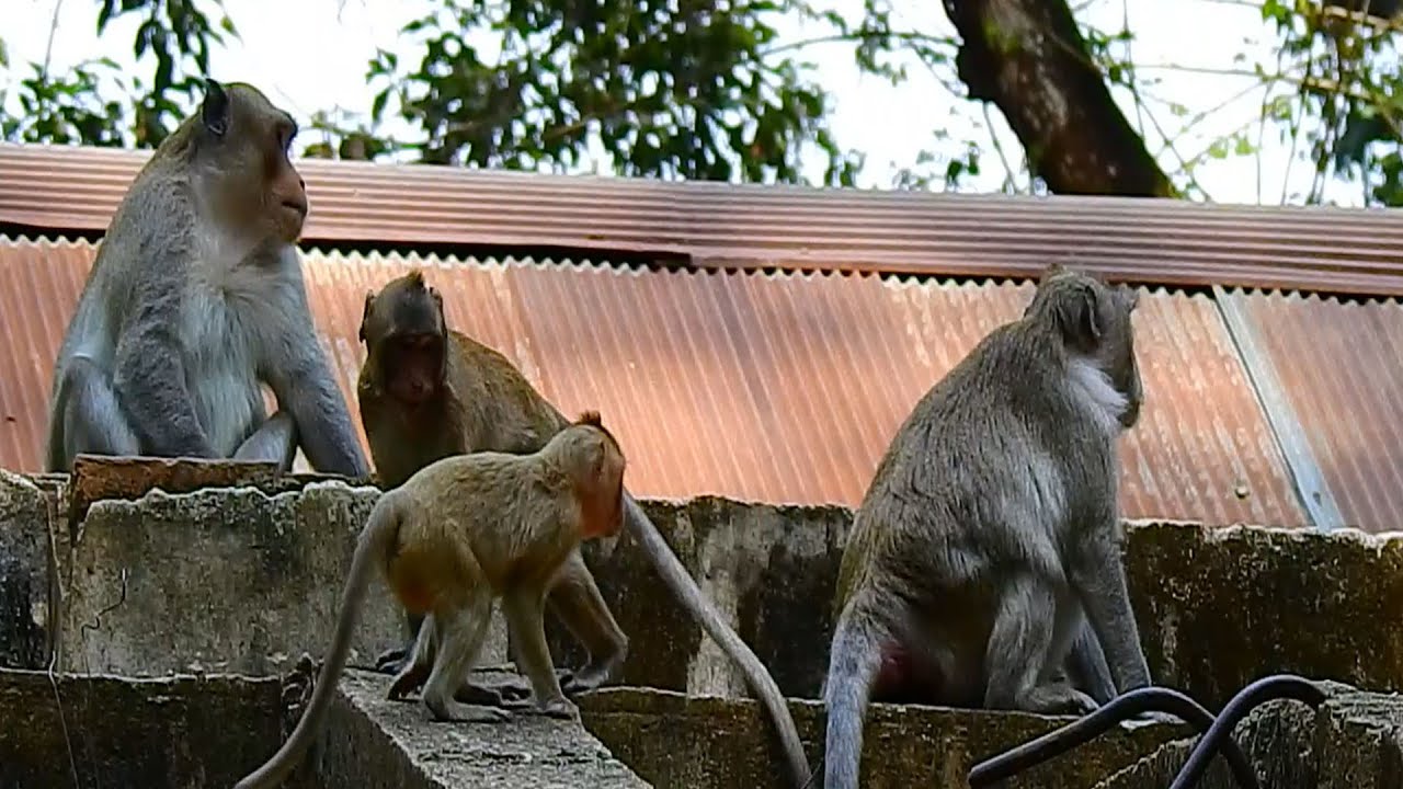 Wow! Jody he never come to Joey Jane and Jazzy come to him often ...