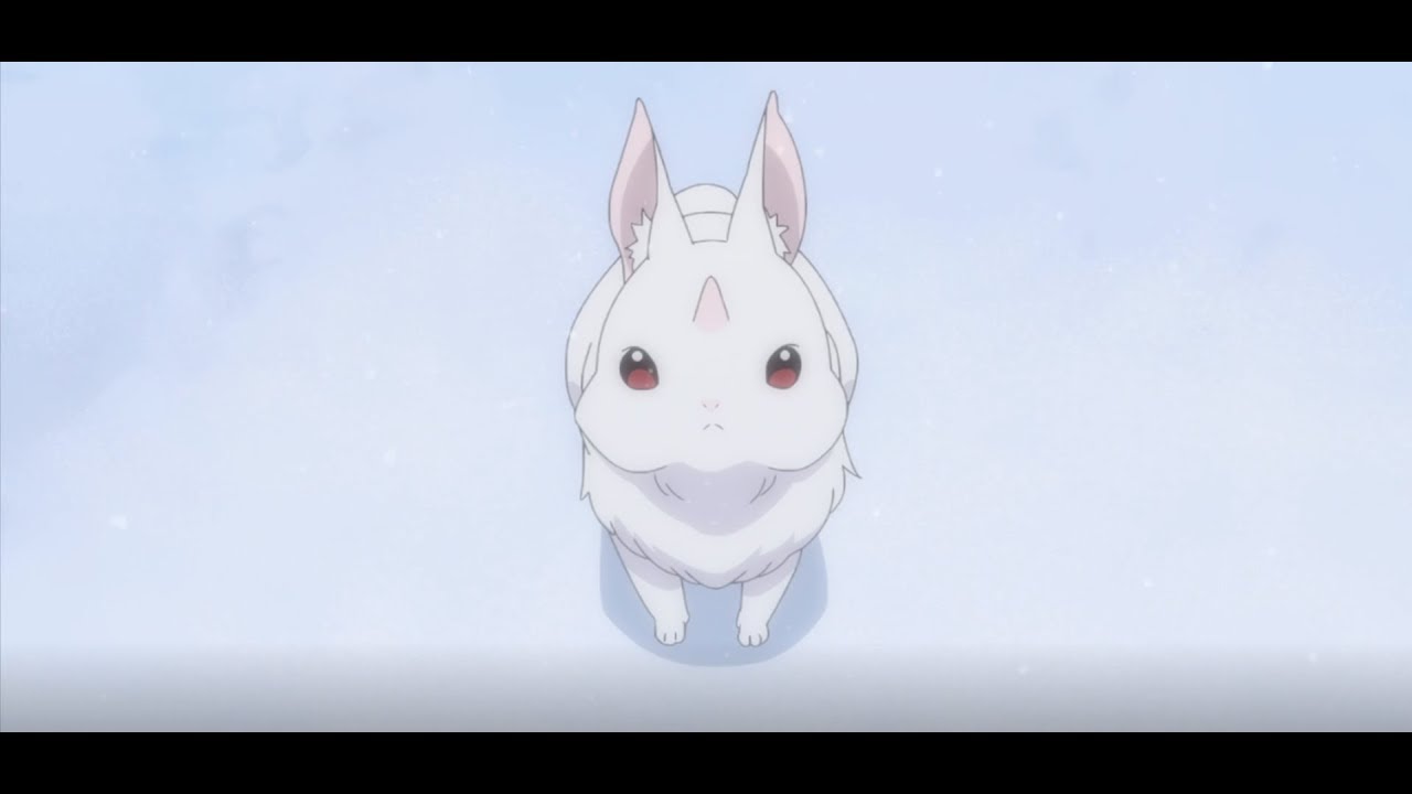 Re:Zero fan when they see a white rabbit - YouTube