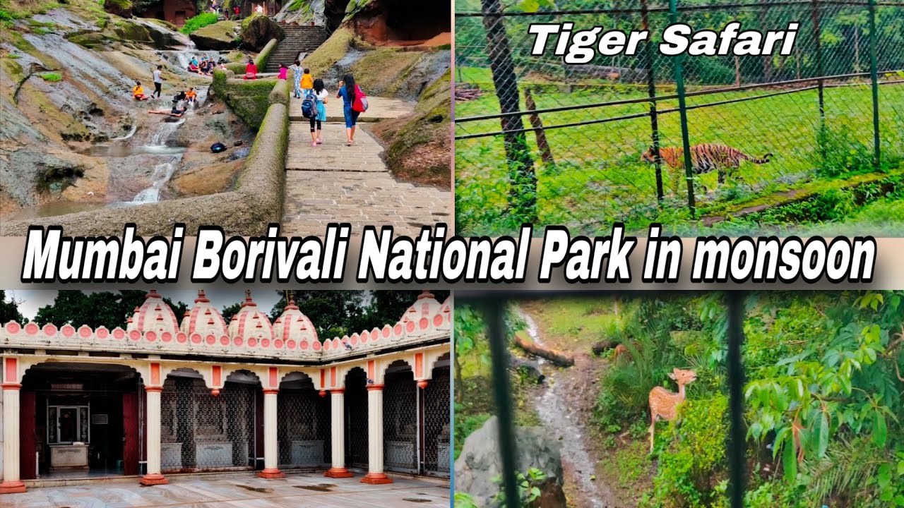 MUMBAI NATIONAL PARK & TIGER SAFARI IN MONSOON - YouTube