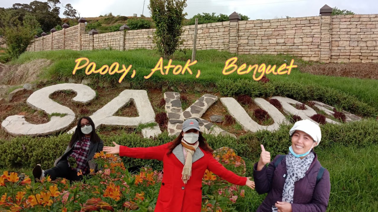 Sakura Farm, Paoay, Atok, Benguet - YouTube