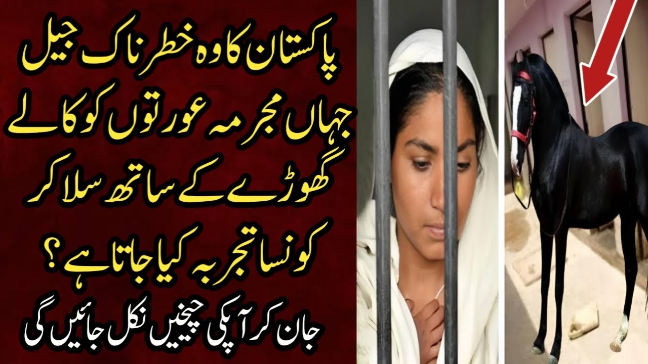 Jail Mein Konsa Tajarba Kia Jata Hai Urdu Kahani Center YouTube jail-mein-konsa-tajarba-kia-jata-hai-urdu-kahani-center-youtube