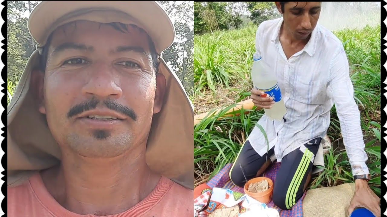 Aqui Esta Don Petro Trabajando Duro Desde Muy Temprano😱👍 - YouTube