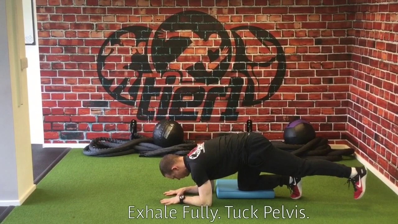 Modified Bird Dog Legs Only - YouTube