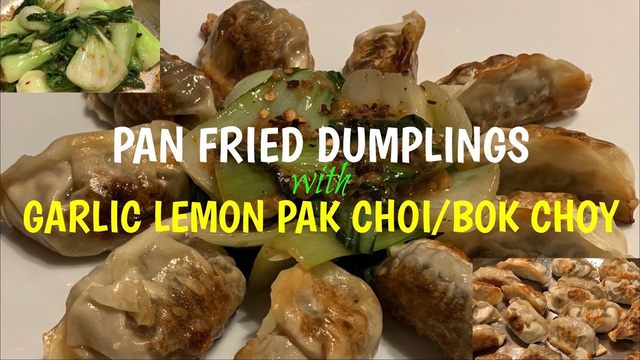 PAN FRIED DUMPLINGS with LEMON GARLIC PAK CHOI/BOK CHOY |Asian Cuisine ...