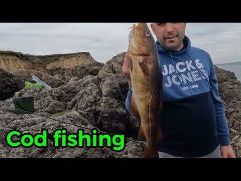 South Shields: A Hidden Gem for Codling Fishing - YouTube