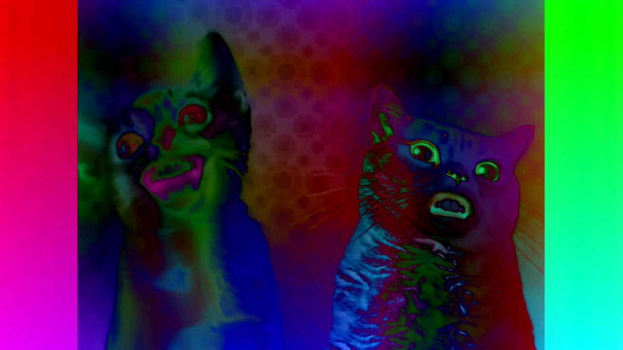 Preview 2 Numa Cat effects^3 [Inspired by Pr‎eview 2 effects] - YouTube