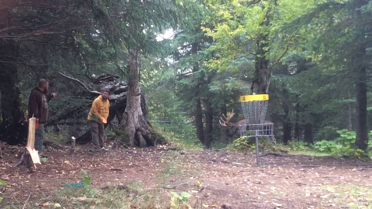 Disc Golf Scene Alaska at Brenda Marston blog