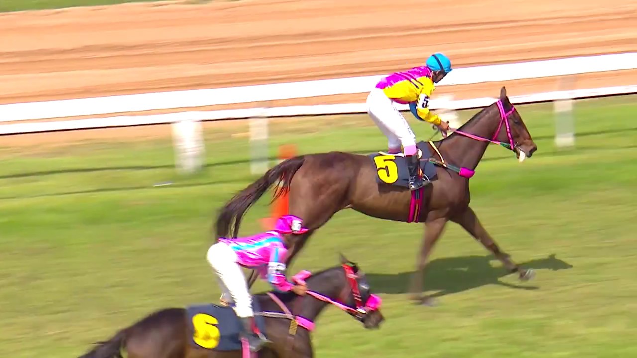 Thailand horse racing 2017 November 25, Race 1 Div Madien - YouTube