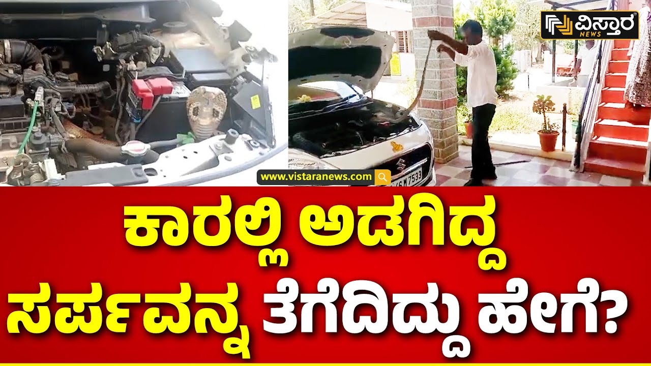 Snake Found In Car | ಕಾರಲ್ಲಿ ಎಲ್ಲಿತ್ತು ಗೊತ್ತಾ ನಾಗರ ಹಾವು! | Vistara News - YouTube
