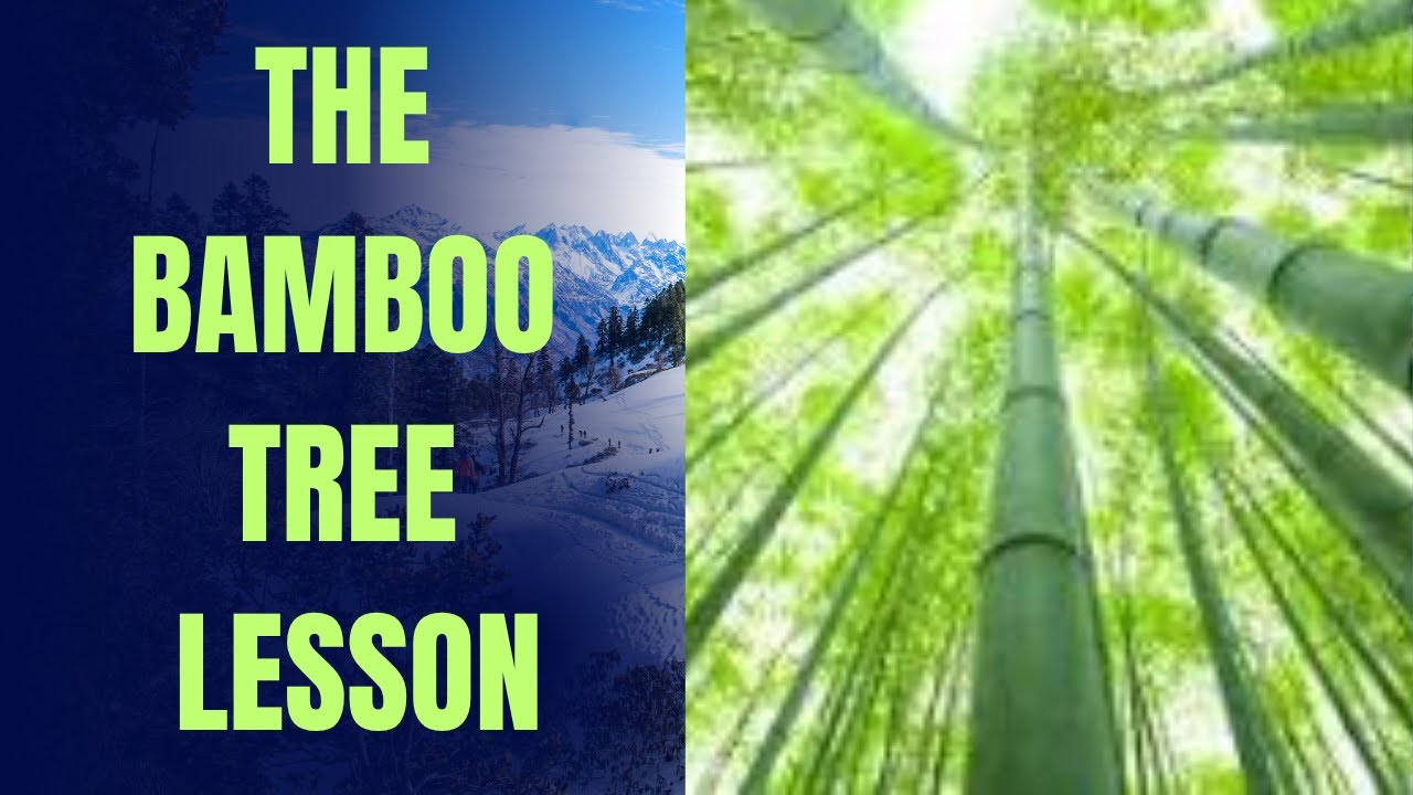 THE BAMBOO TREE LESSON - YouTube