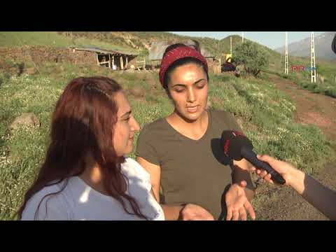 Bingöl Gözeler Köyü'nde en büyük sorun: İşsizlik