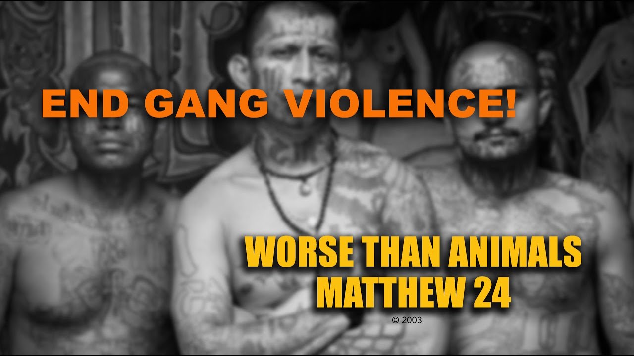 Worse Than Animals, Matthew 24 - YouTube