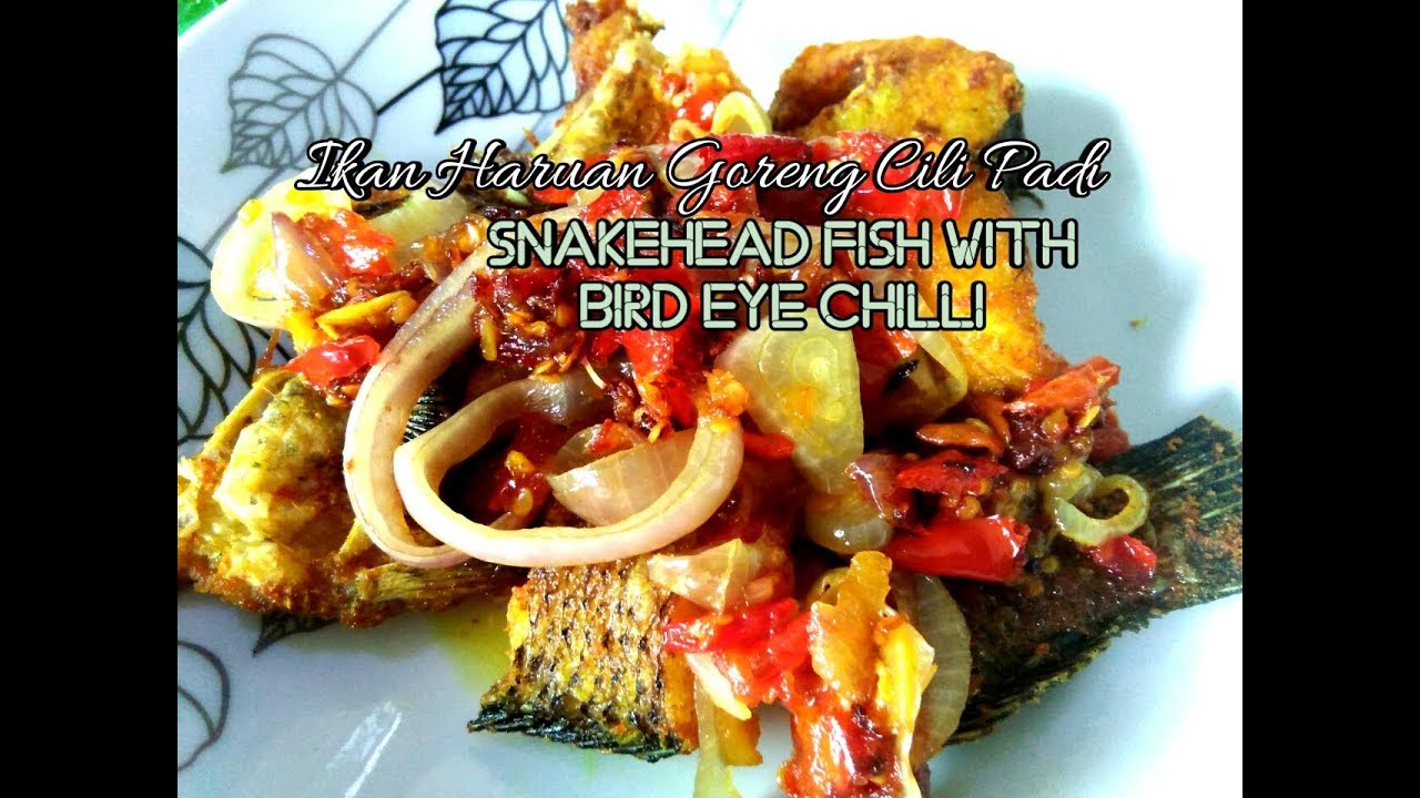 Ikan Haruan Goreng cili padi ! Snakehead Fish with Bird Eye Chilli ...