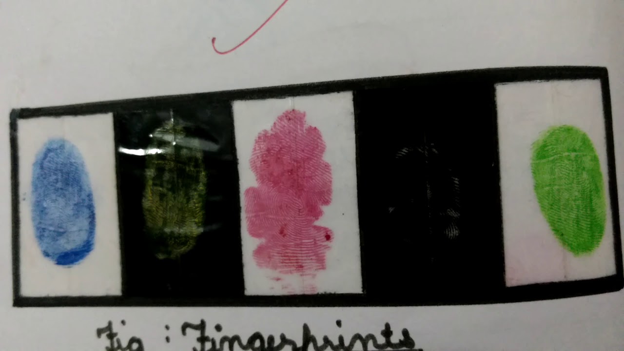 Chemistry Project-Class 12 (Forensic Chemistry) - YouTube