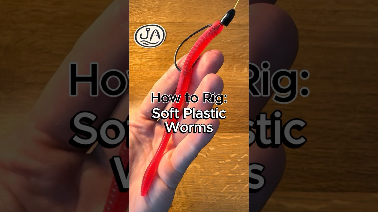 Plastic Worm Rig For Trout Carolina Rig & Floating Trout Worm Salmon