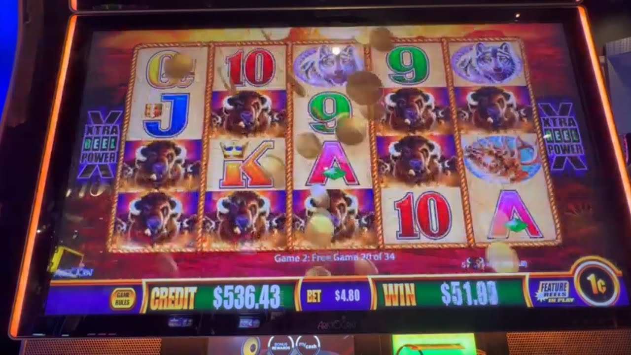 Collecting the buffalo’s, 34 free spins!!! - YouTube