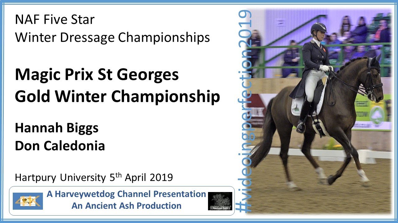 NAF 5 Star Winter Dressage Championships 2019: Hannah Biggs - YouTube
