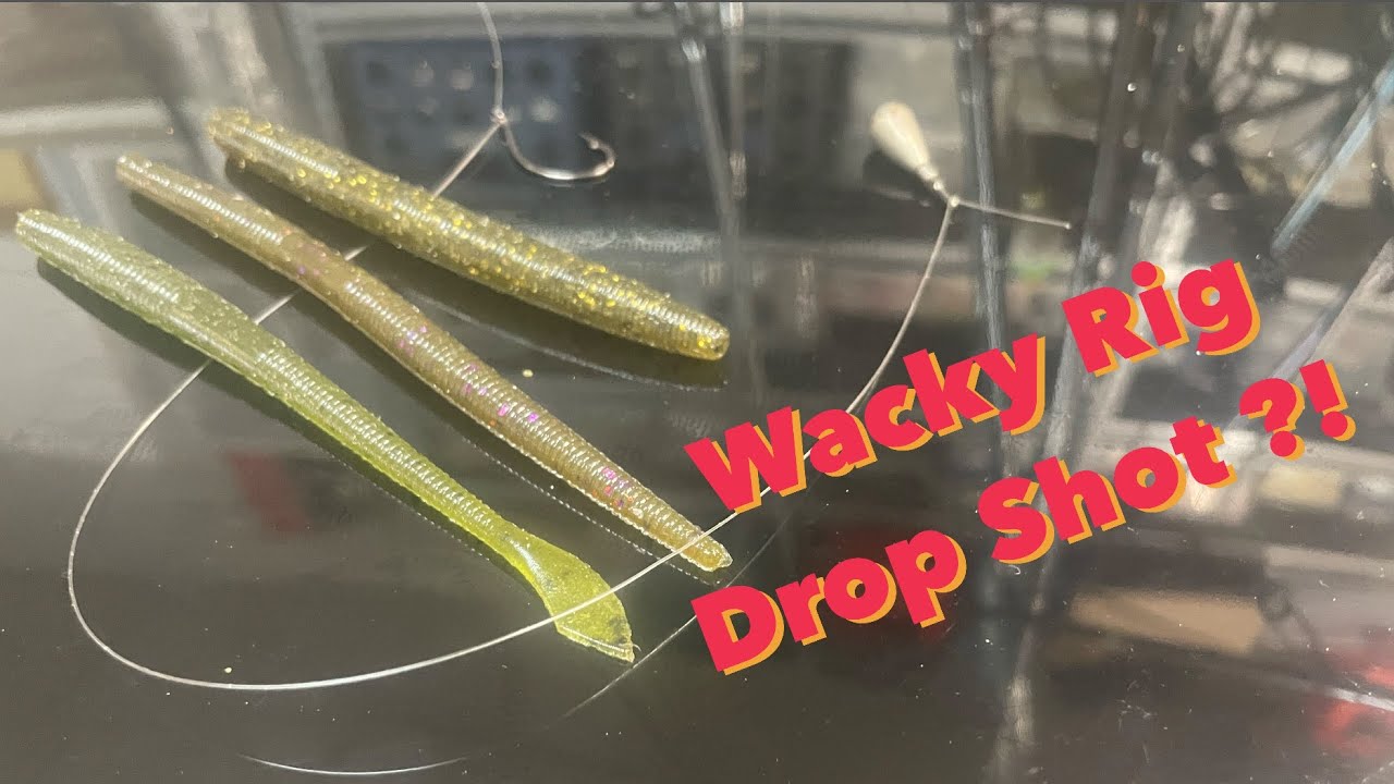 Wacky Rigged Drop Shot | #bassfishing #finessefishing #wackyrig #senko ...