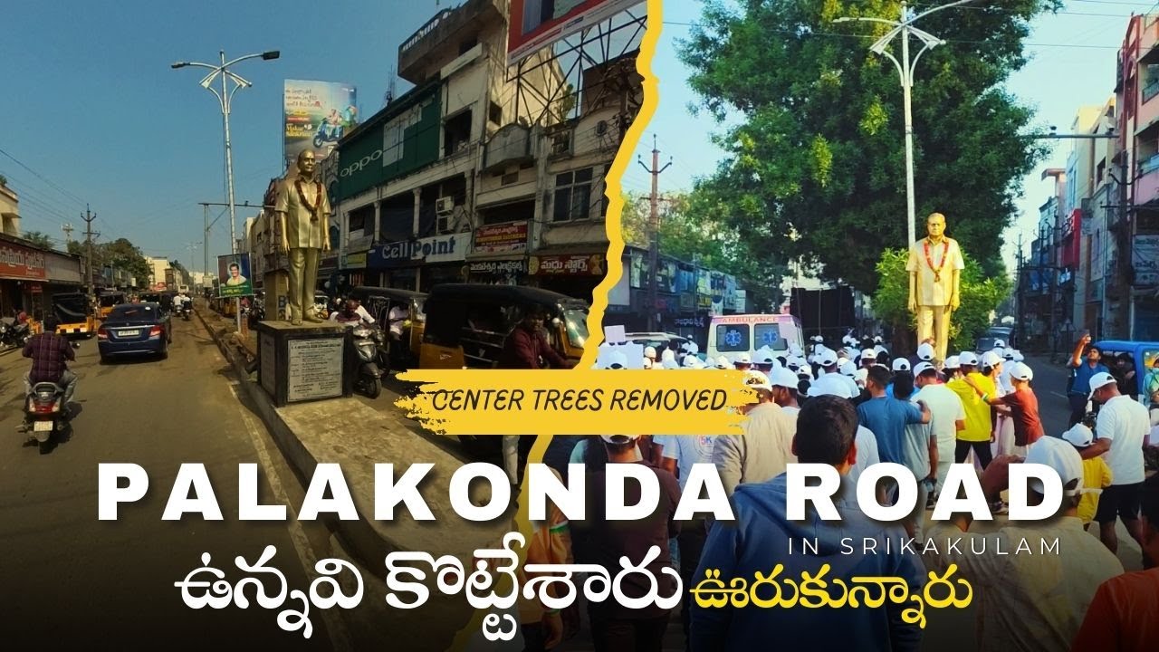 Palakonda Road Trees Removed - YouTube