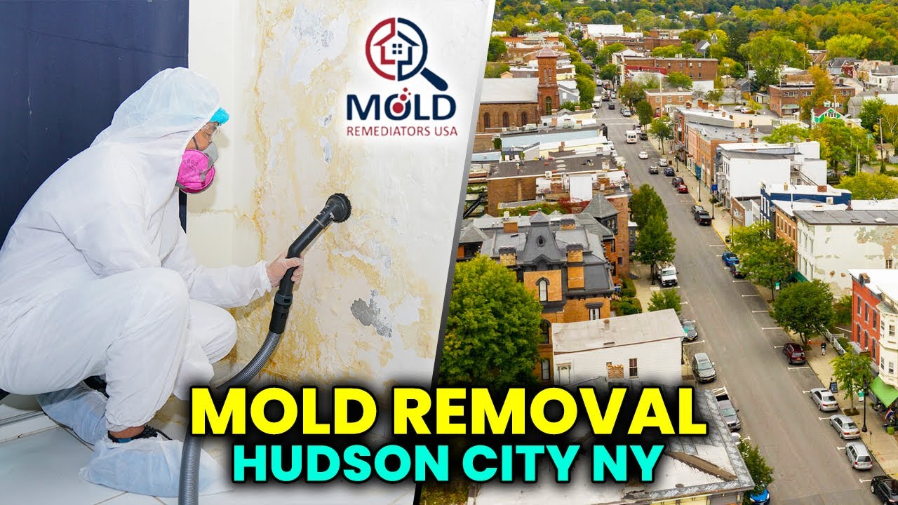 Best 24 HR Mold Removal & Mold Remediation Company Near Hudson City NY ...