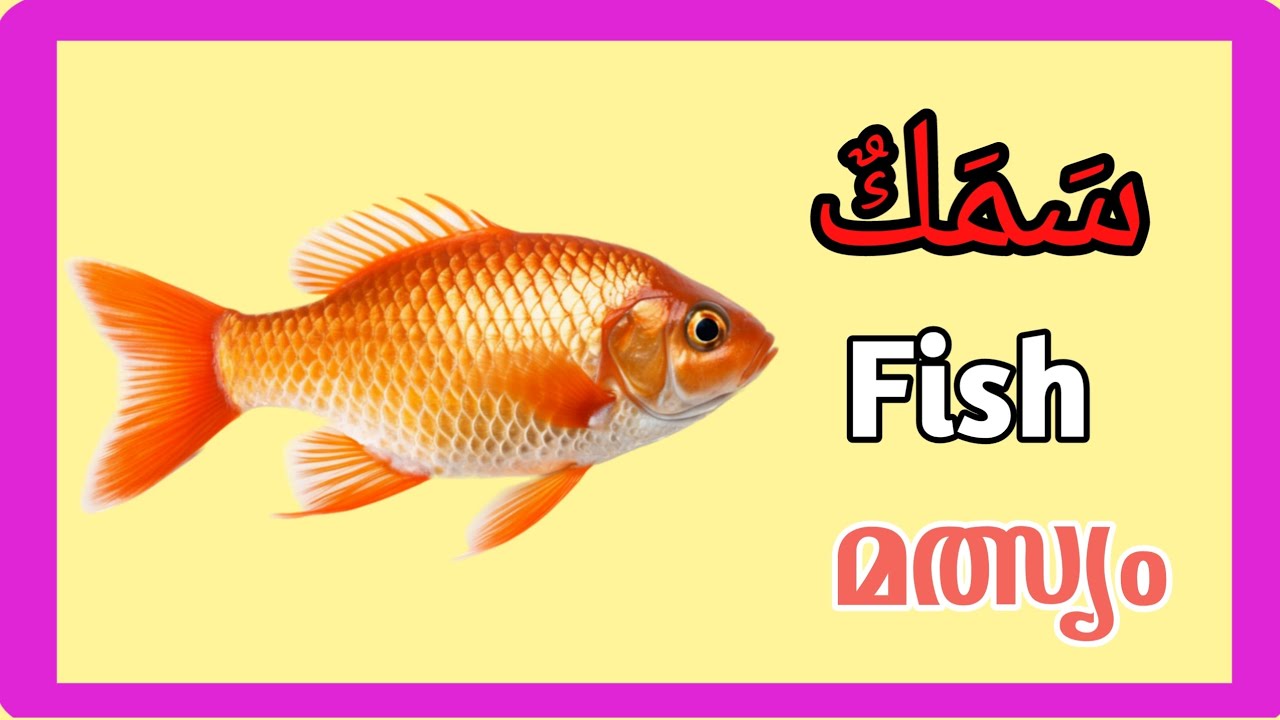 Class 1 പാഠം 13 Samakun സമകുൻ سمك - YouTube