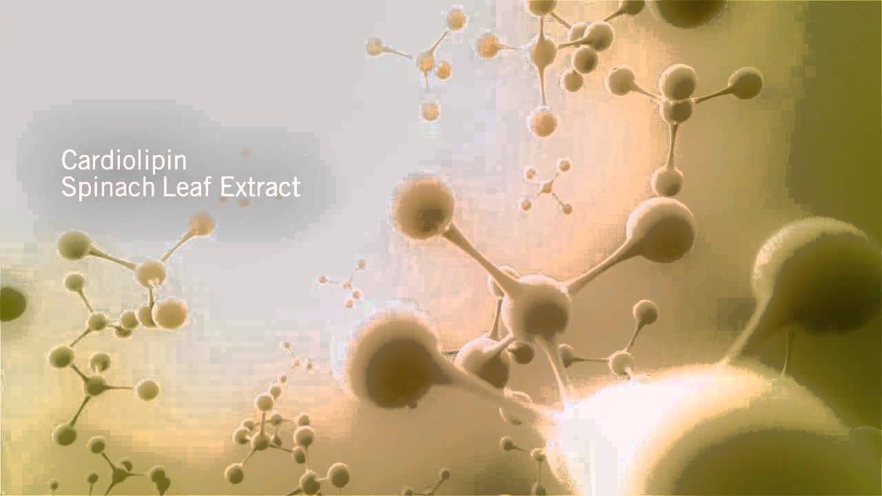 ARTISTRY Supreme LX - YouTube