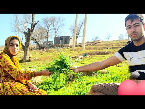 Hamed and his family's help to Kamdin and Leila💔, a great gathering with the grandfather in natur...