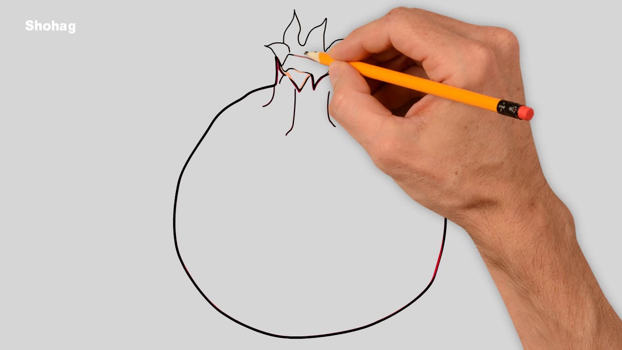 Pomegranate Drawing Tutorial | Easy Pomegranate Drawing Tutorial ...