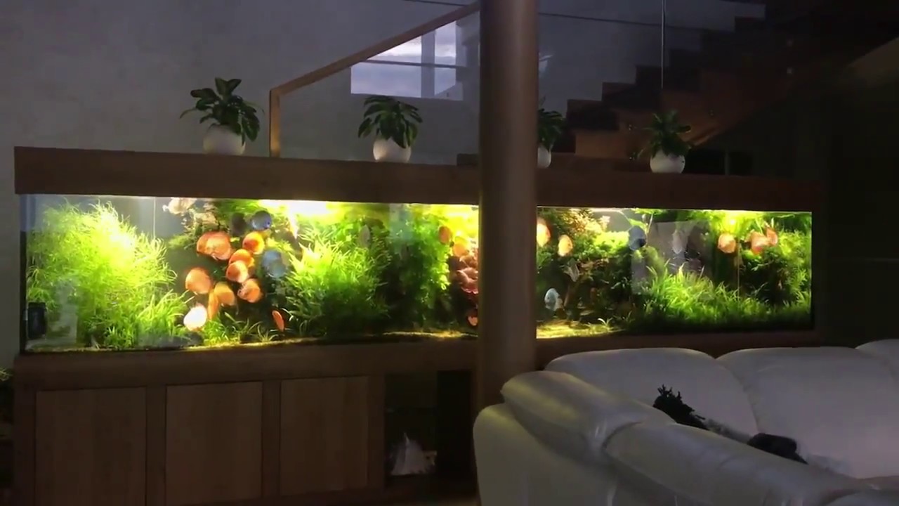 Another planted MEGA Discus Tank (4,2 m long, 1700 Liters)Aquaproject ...