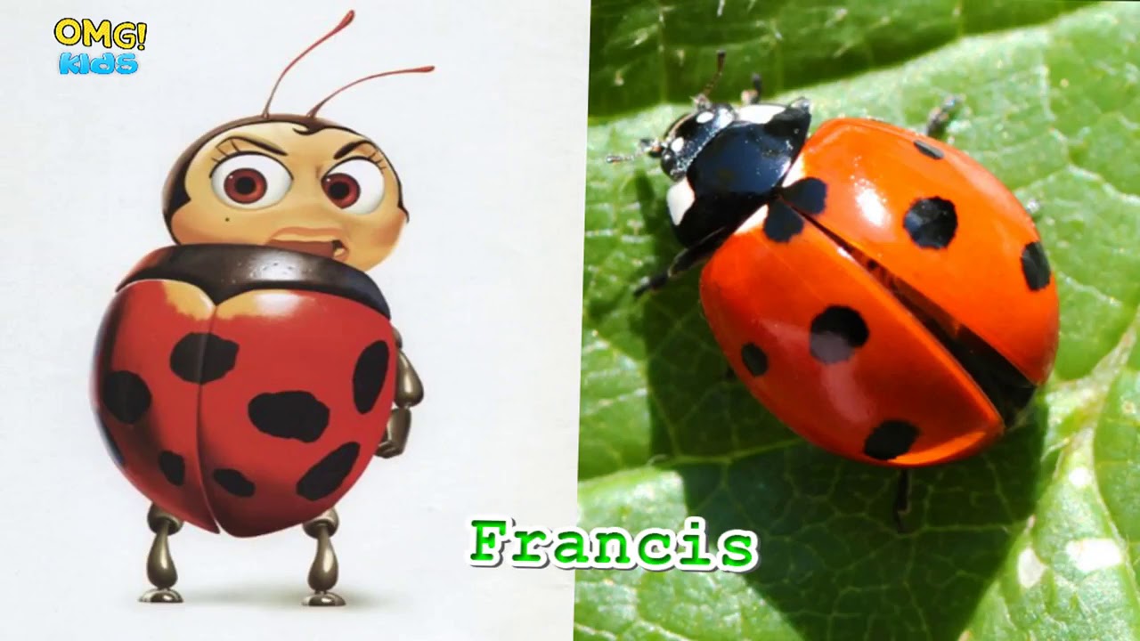 A Bug's Life in Real Life All Characters 2018 OMG Kids - YouTube