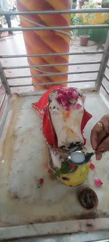 🙏🏻Jai Nandi Mata🙏🏻 - YouTube