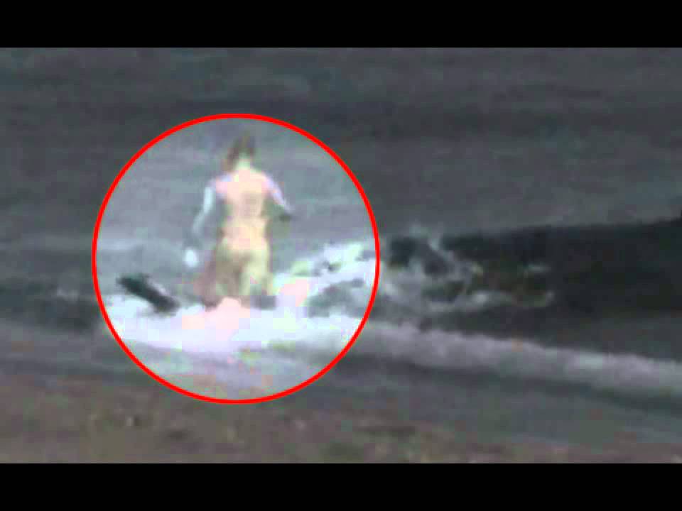 DO NOT CLICK!!! HUMAN GETS DEVOURED BY WHALE mammals gone wild! - YouTube