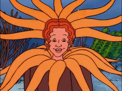 The Magic School Bus - Takes a Dive - Ep. 50 - YouTube