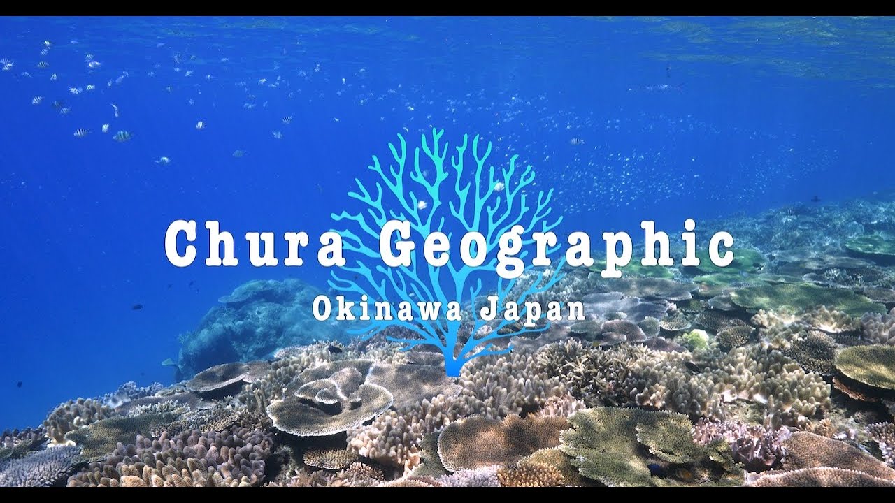 [4K] Beautiful Coral Reef Okinawa #90 EOS 1DX Mark II Nauticam 沖縄 本島 ...