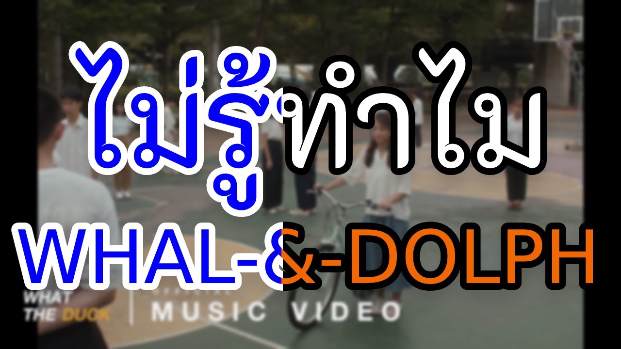 [KARAOKE] ไม่รู้ทำไม (Skyfall) - Whal & Dolph - YouTube