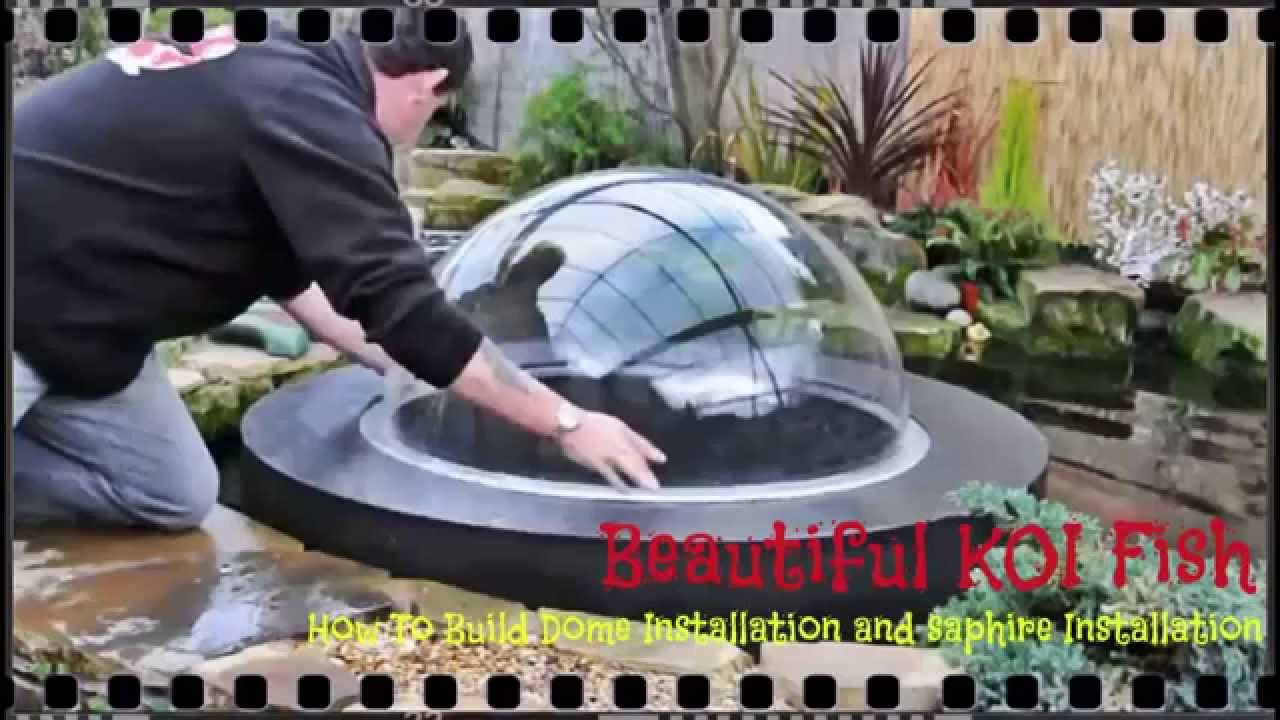 Beautiful KOI Fish - How To Build Dome and saphire Installation - YouTube
