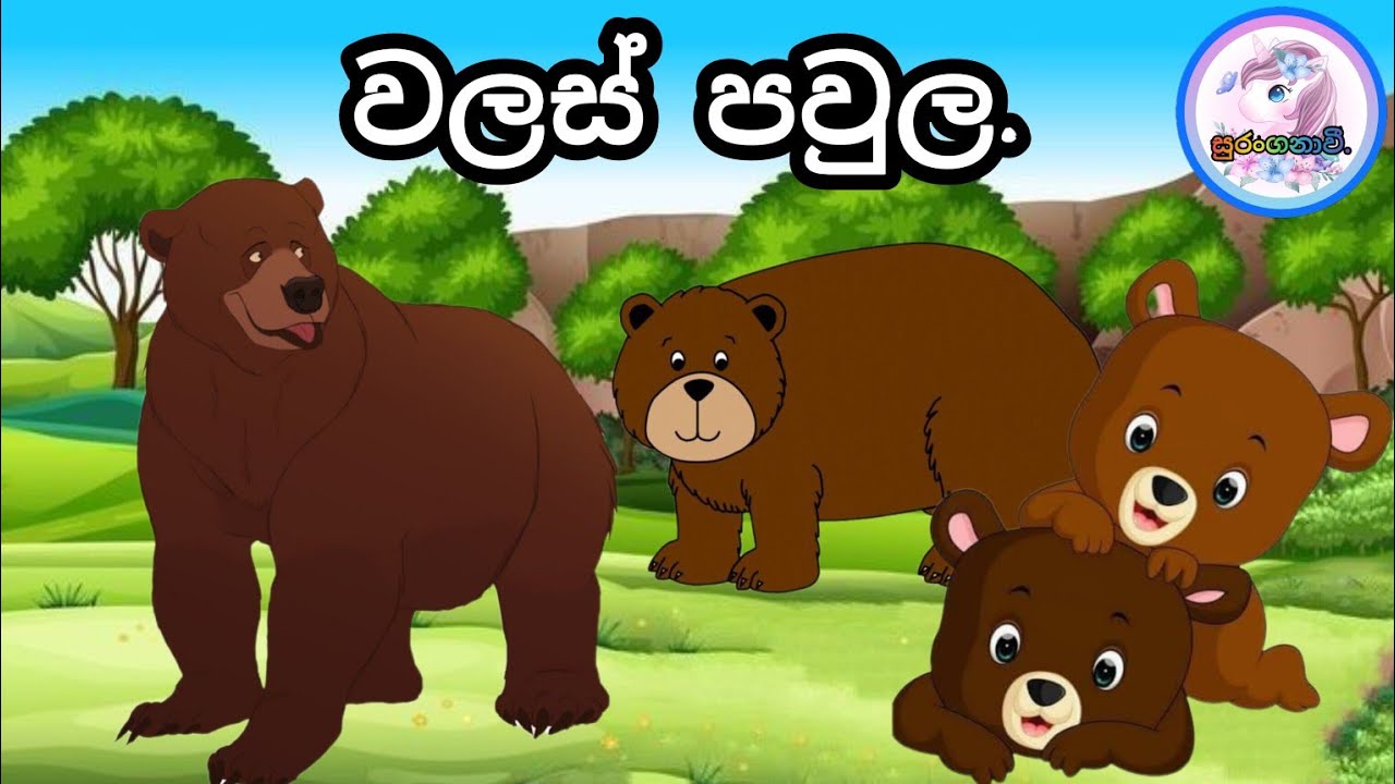 වලස් පවුල Sinhala Cartoon Kathandara Youtube