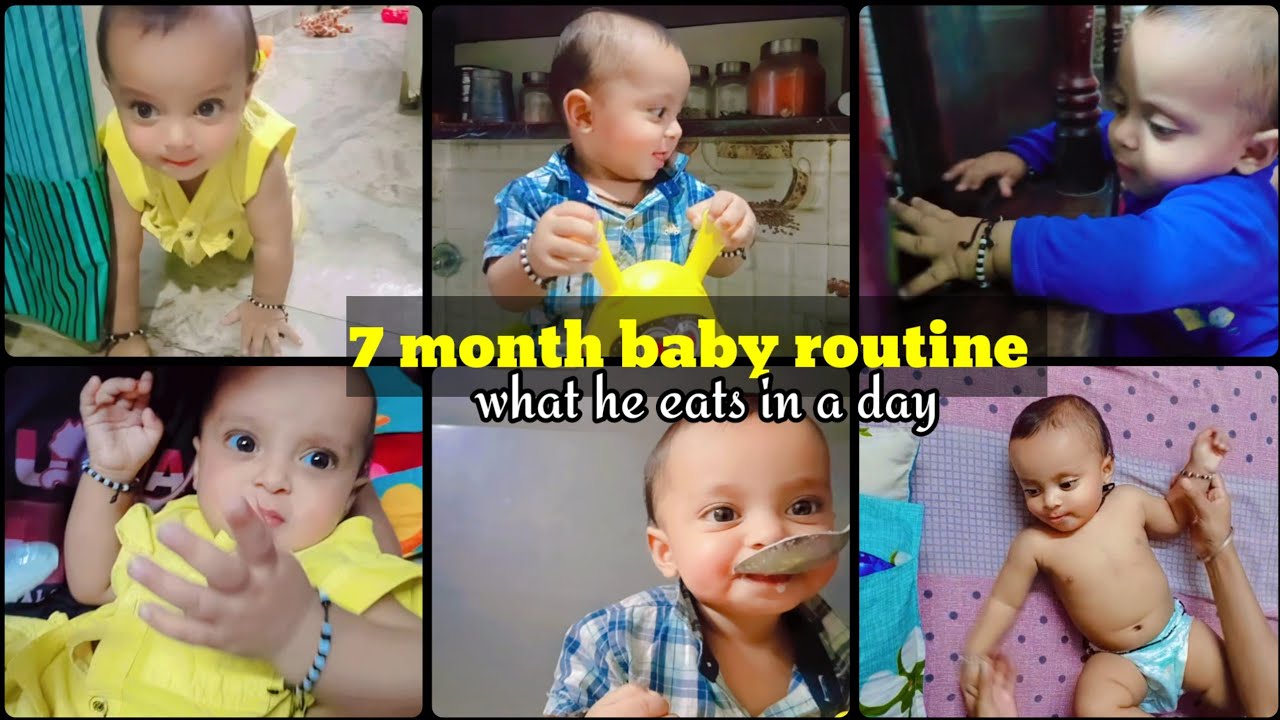 7 month baby routine what's he eats in a day| activity/milestones ...