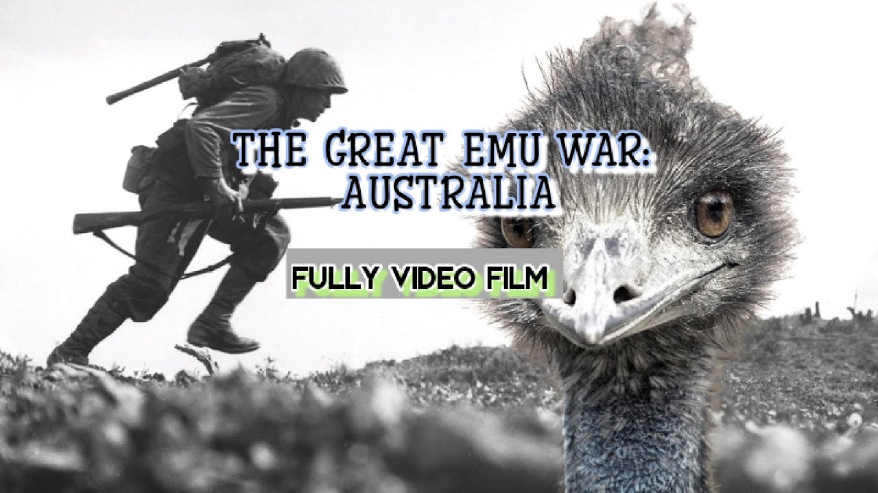 The Great Emu War : Australia || Full short video film - YouTube