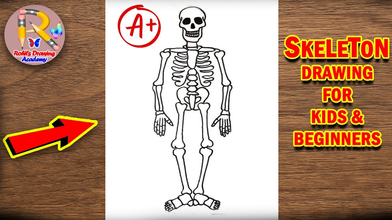 Learn to Draw Human Skeleton | Easy & Fun Drawing for Students ...